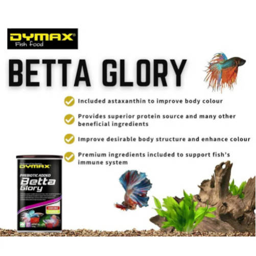 Dymax Betta Glory 40g - Acuariohelp
